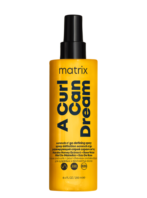 A Curl Can Dream Scrunch n' Go Defining Spray – Salon Supplies